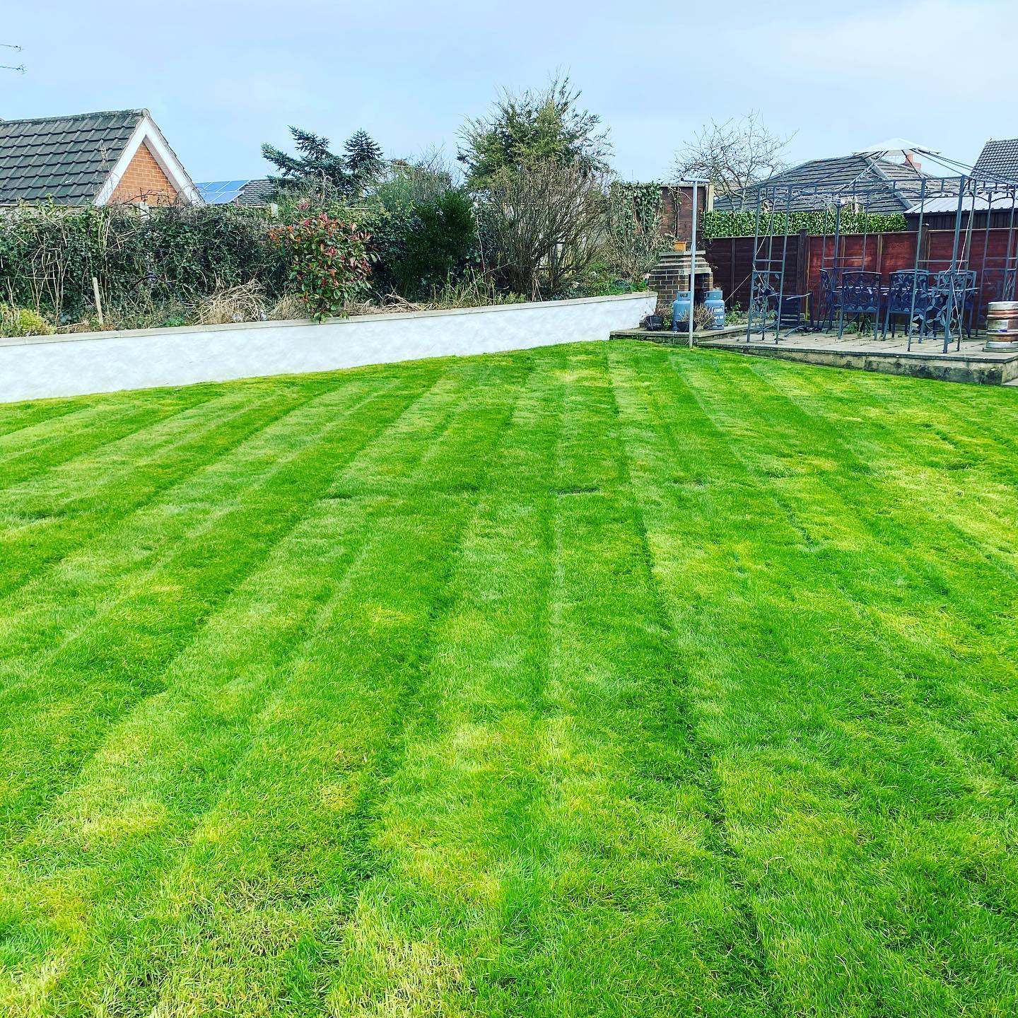 Gardening Hints & Tips Newtownards | Copeland Garden Services
